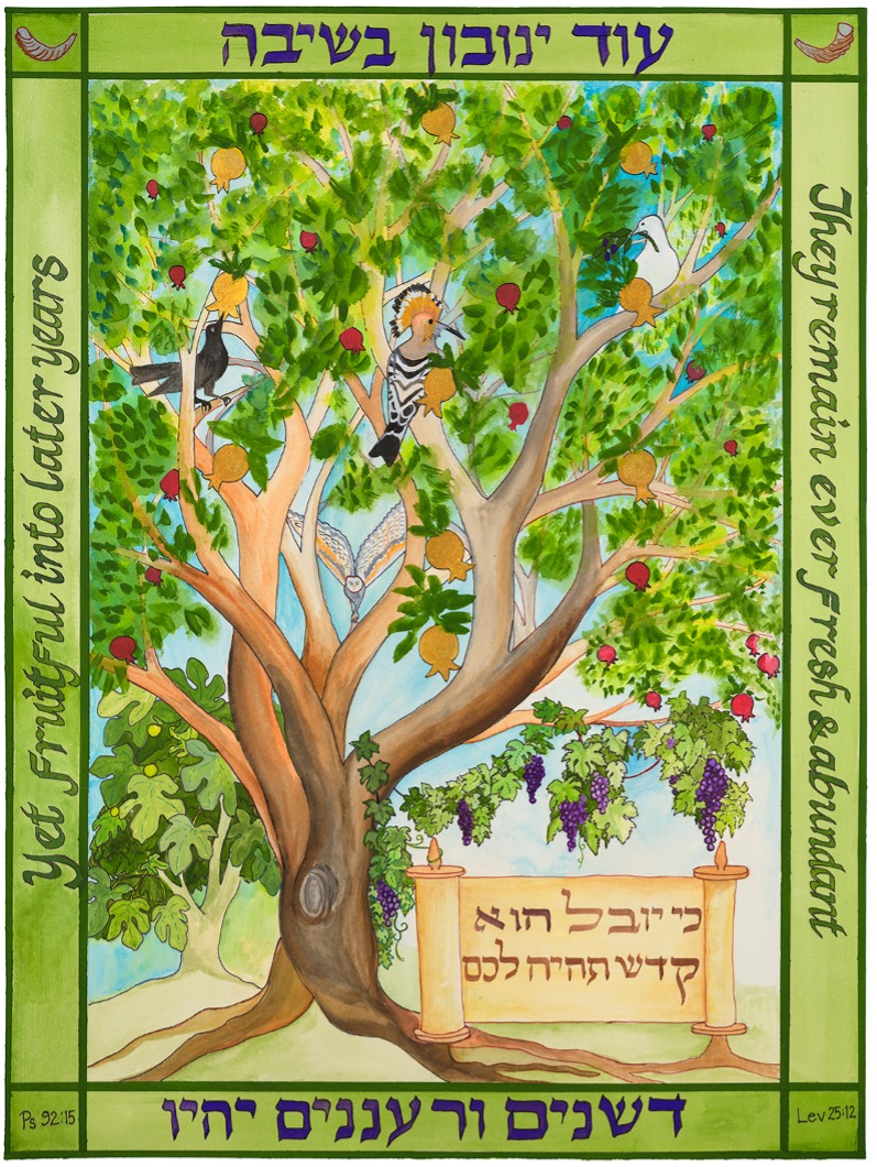 Torat Yovel: The Torah of Jubilee - Reconstructing Judaism