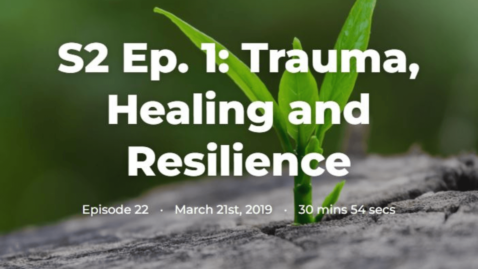 Virtual Shabbat Box - Reconstructing Judaism