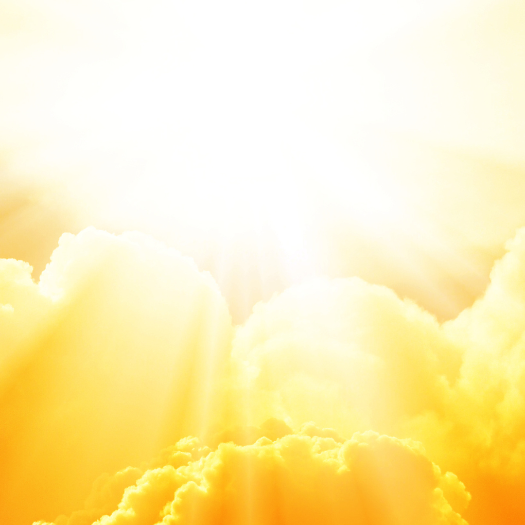 Evolve Web Conversation: The Light That Has the Capacity to Hold Us All with Rabbi Vivie Mayer ...